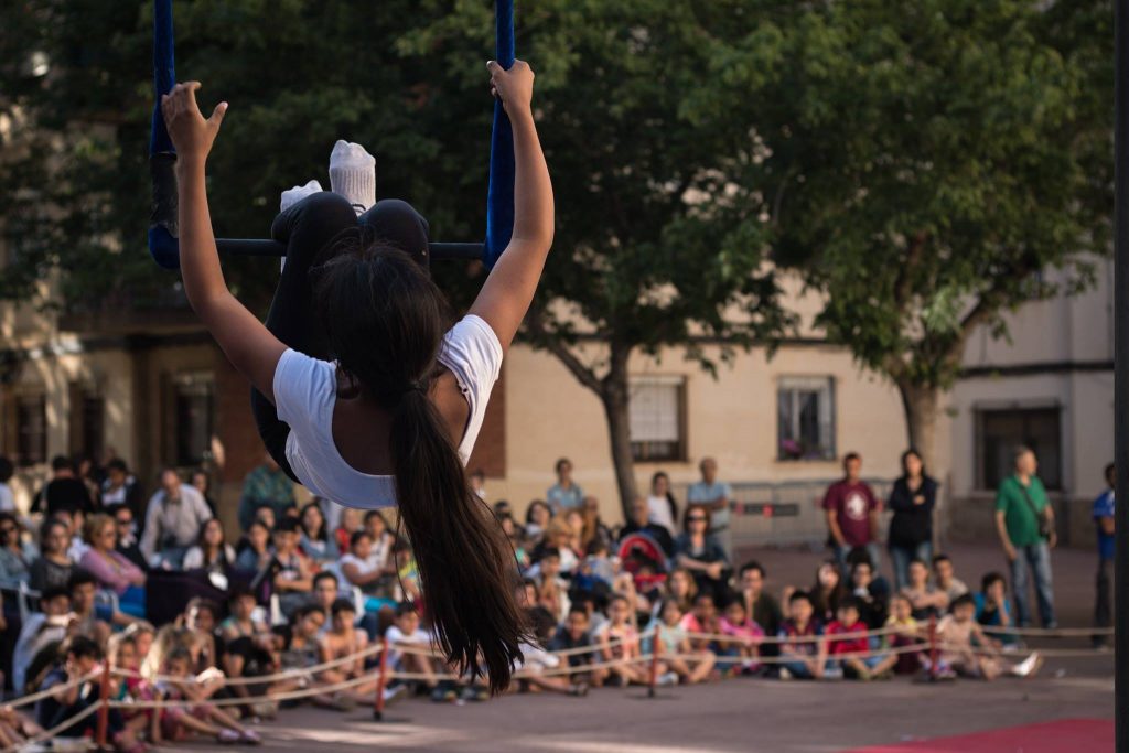 Members | Caravan International Circus Network